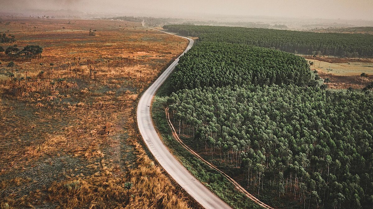 Climate tilt elements connected to each other